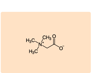 VERSO CELL BEING